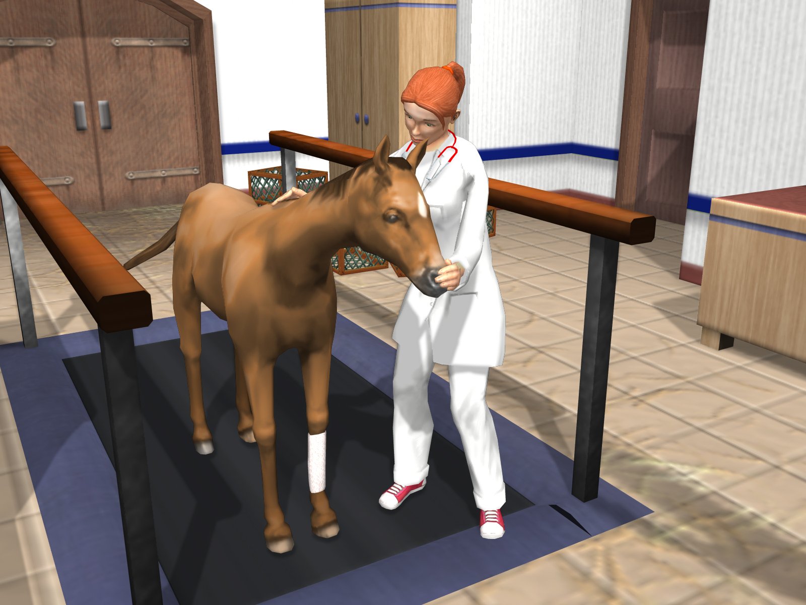 My Vet Practice 3D, auf dem Land [3DS]