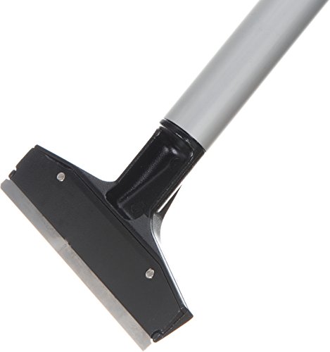 Carlisle FoodService Products 36512000 Stainless Steel Replacement Floor Scraper Blade, 4" Blade Length