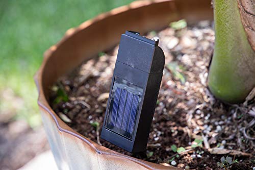 Kenroy Home 60650 Plant Solar Lighting, Small, Black