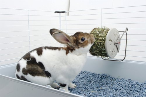 Living World Hay Feeding Station for Pets
