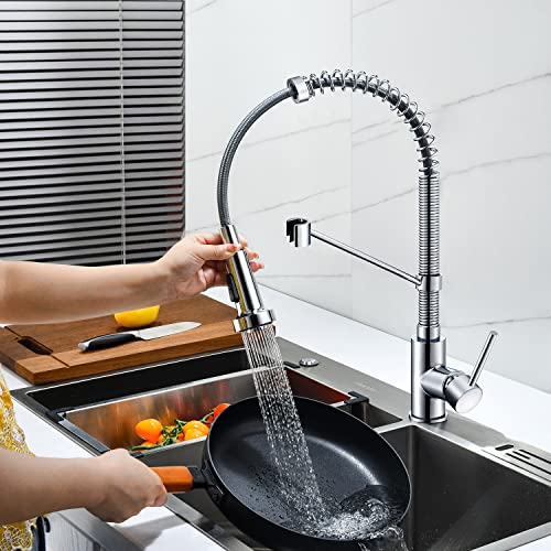 Baydow Single Hole Kitchen Sink Faucet with Pull Out/Down Sprayer, High Arc Stainless Steel Single Handle,Chrome Finish