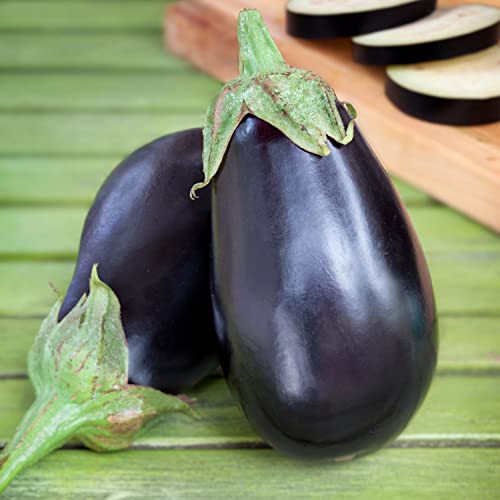 Bonnie Plants Black Beauty Eggplant - 4 Pack Live Plants, 3 - 4 Ft. Tall Plants, Classic Tear Drop Shape Eggplant, Easy To Grow