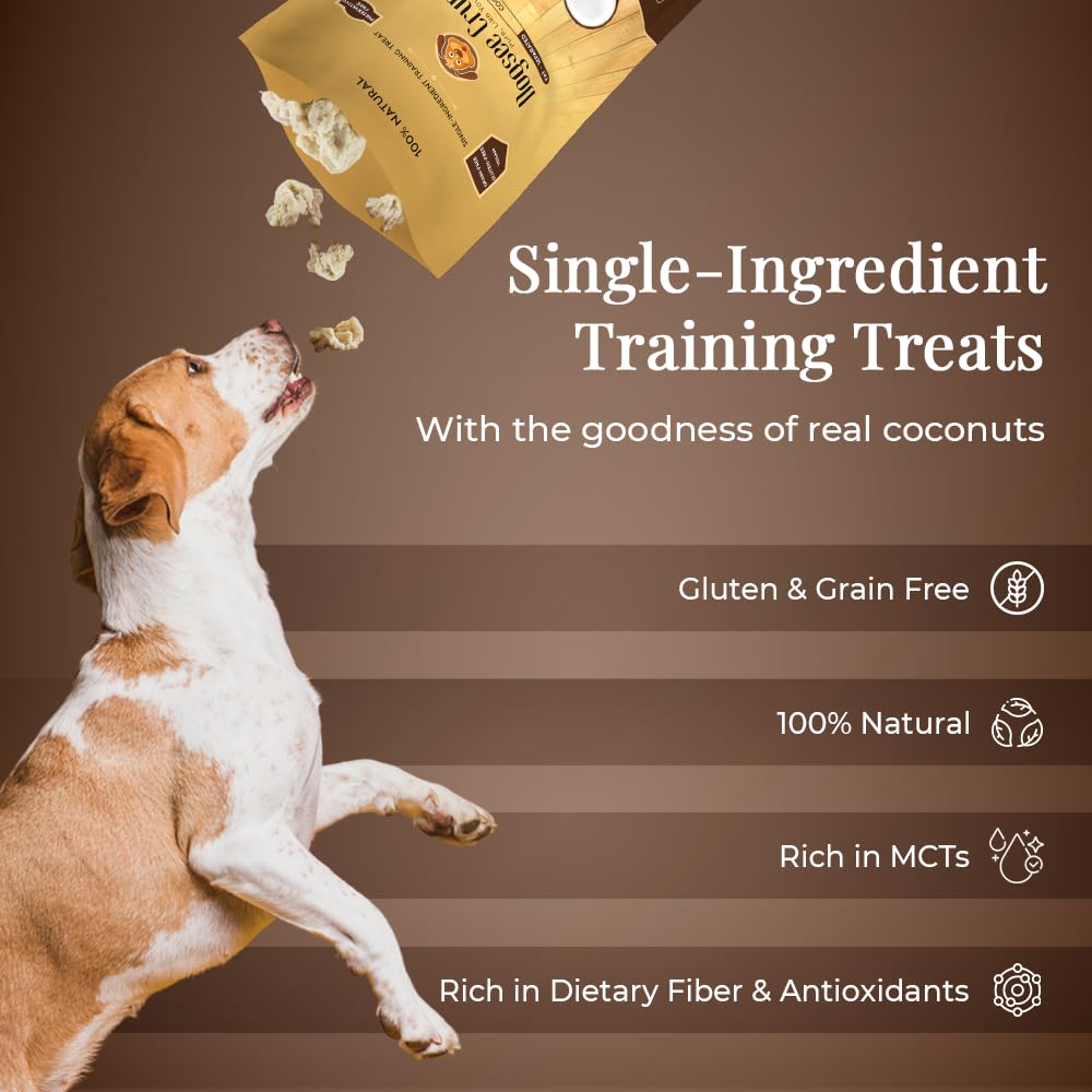 Dogsee Crunch Coconut Training Treats for Dogs 1.76oz/50g | Made from Real Coconuts | for Better Digestive Health | Freeze-Dried Training Treats