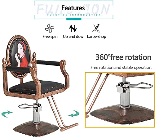 DFONCE Barber Chair,Hydraulic Barber Chair Salon Hair Beauty Chair Styling Equipment,C (Color : D)