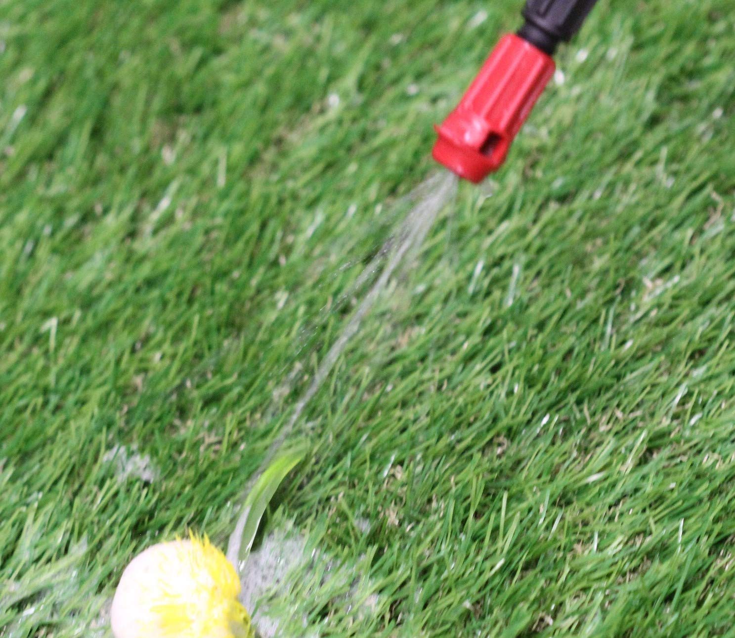Chapin International 20542 2 Gallon Lawn, 2-Gallon, Garden and Multi-Purpose Sprayer with Foaming and Adjustable Nozzles