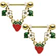 Body Candy 14G Womens Nipplerings Piercing PVD Steel 2Pc Strawberry Flower Dangle Nipple Ring Set 9/16"