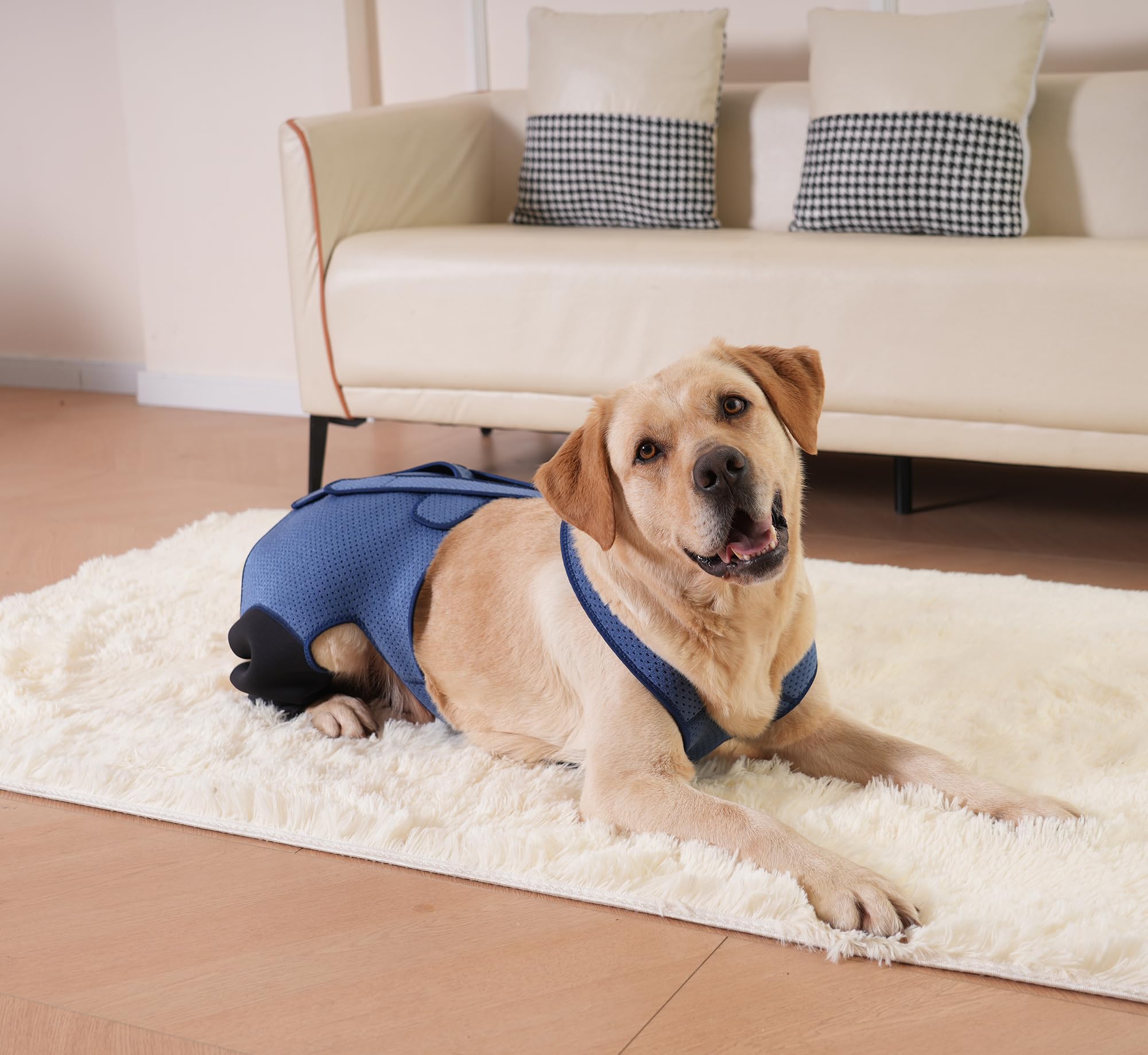 Dog Hind Leg Recovery Sleeve Dog Recovery Suit as Cone Collar Alternative, 2.5mm Thick and Waterproof, Prevent Pet Wounds Licking, Biting (XLarge)