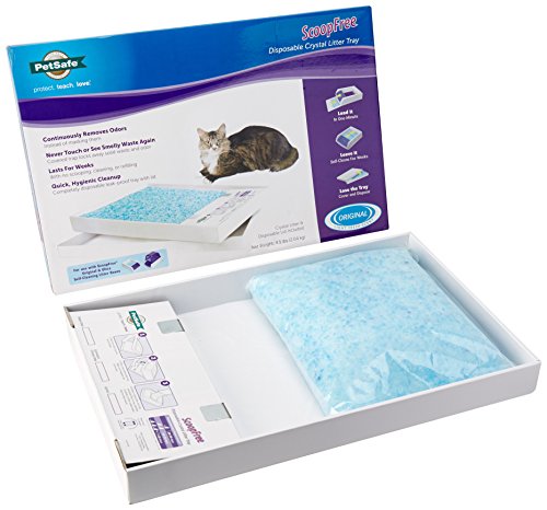 ScoopFree Blue Crystals Litter disposable Trays, 4.5-Pounds