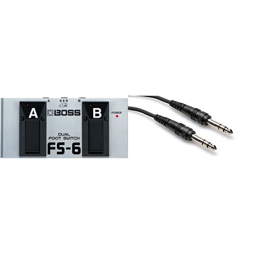 Boss FS-6 Dual Foot Switch and Hosa CSS-110 10' TRS Cable Bundle