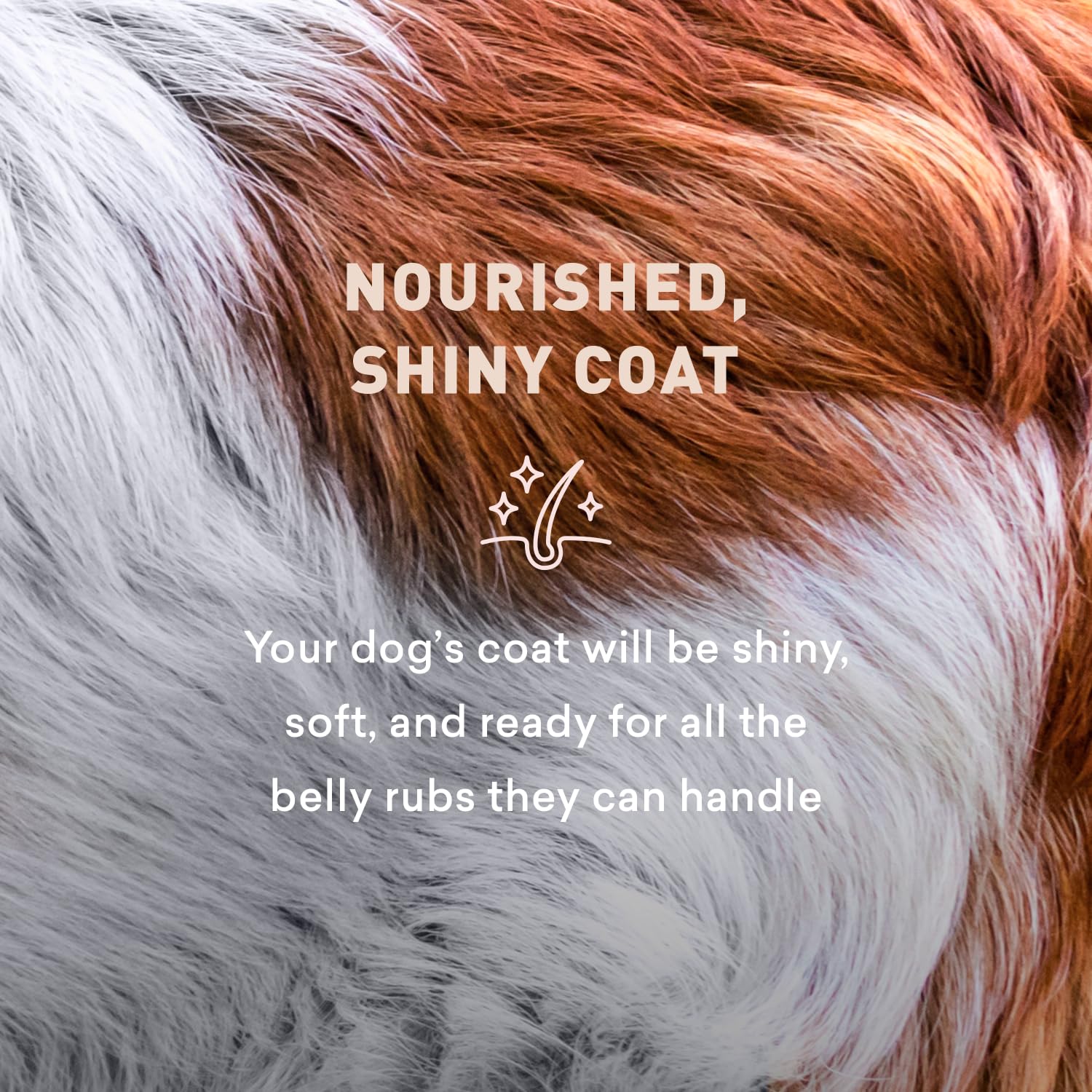Dog Vinegar Rinse Cleanser | Best Dog Coat and Skin Cleanser | Helps Reduce Itchy and Scratching | Skin Calming | Natural Ingredients | Just Nutritive | 16 fl oz