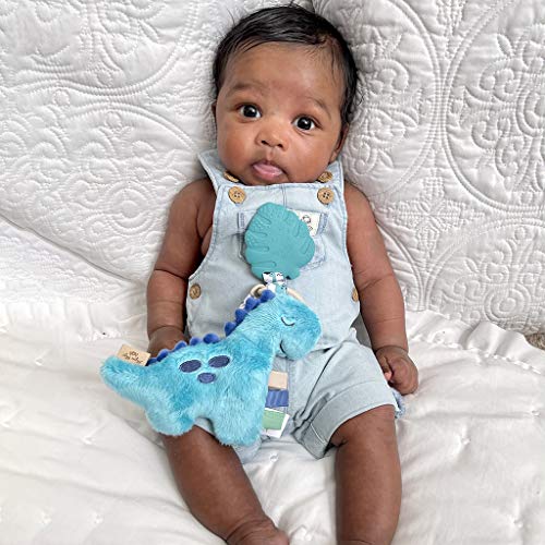 Itzy Ritzy Infant Toy & Teether - Itzy Pal Baby Teething Toy Includes Lovey, Crinkle Sound, Textured Ribbons & Silicone Teether Toy for Newborn (Dinosaur)