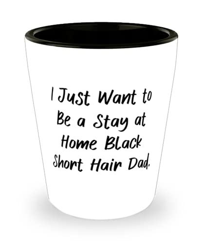 Brilliant Black Short Hair Cat, I Just Want to Be a Stay at Home Black Short Hair Dad, Birthday Shot Glass For Black Short Hair Cat