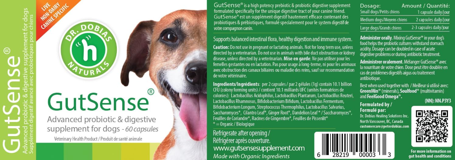 Dr. Dobias - GutSense, Advanced Prebiotic & Probiotics for Dogs, Canine-Specific Dog Probiotics, Dog Supplement for Healthy Digestion, Good Bowel Movement & Immune System, Pet Supplies, 60 Capsules