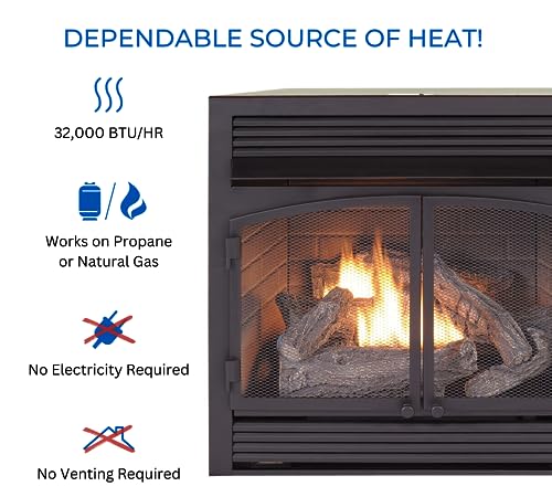 Duluth Forge Dual Fuel Ventless Gas Fireplace Insert, Remote Control, 6 Fire Logs, Use with Natural Gas or Liquid Propane, 32000 BTU, Heats up to 1500 Sq. Ft., Black