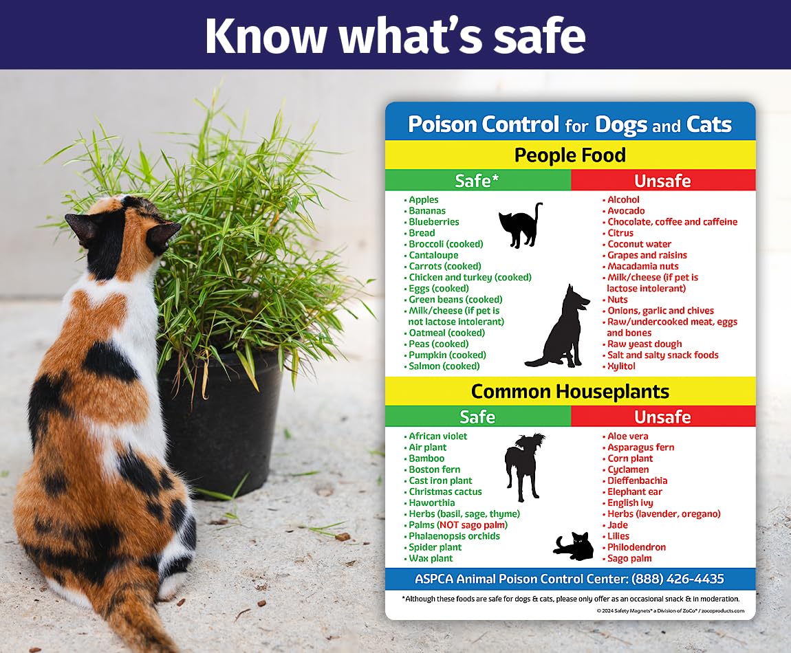 Foods and Plants Toxic to Cats and Dogs Fridge Magnets (5 Pack) - Pet Poison Control - by Safety Magnets - 5 x 7 inches