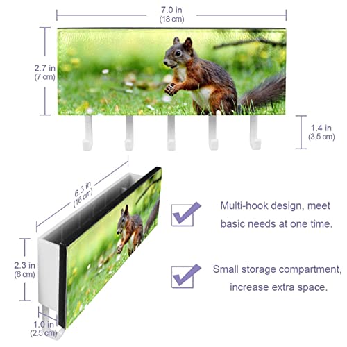 Cute Squirrel Mail Holder Organizer and Key Hooks PU Front, Self Adhesive Key Rack with 5 Hooks Perfect for Entryway, Hallway,Bathroom ,Kitchen