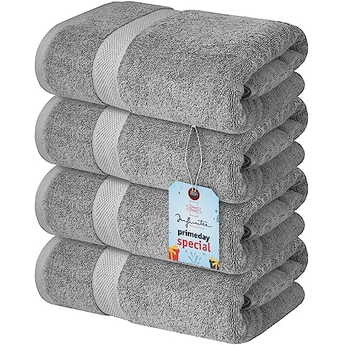 Infinitee Xclusives Premium Bath Towels Set Pack of 4-100% Ring Spun Cotton Towels - Grey Bath Towels 27 x 54 - Soft Feel, Quick Dry, Highly Absorbent Durable Towels, Perfect for Daily Use