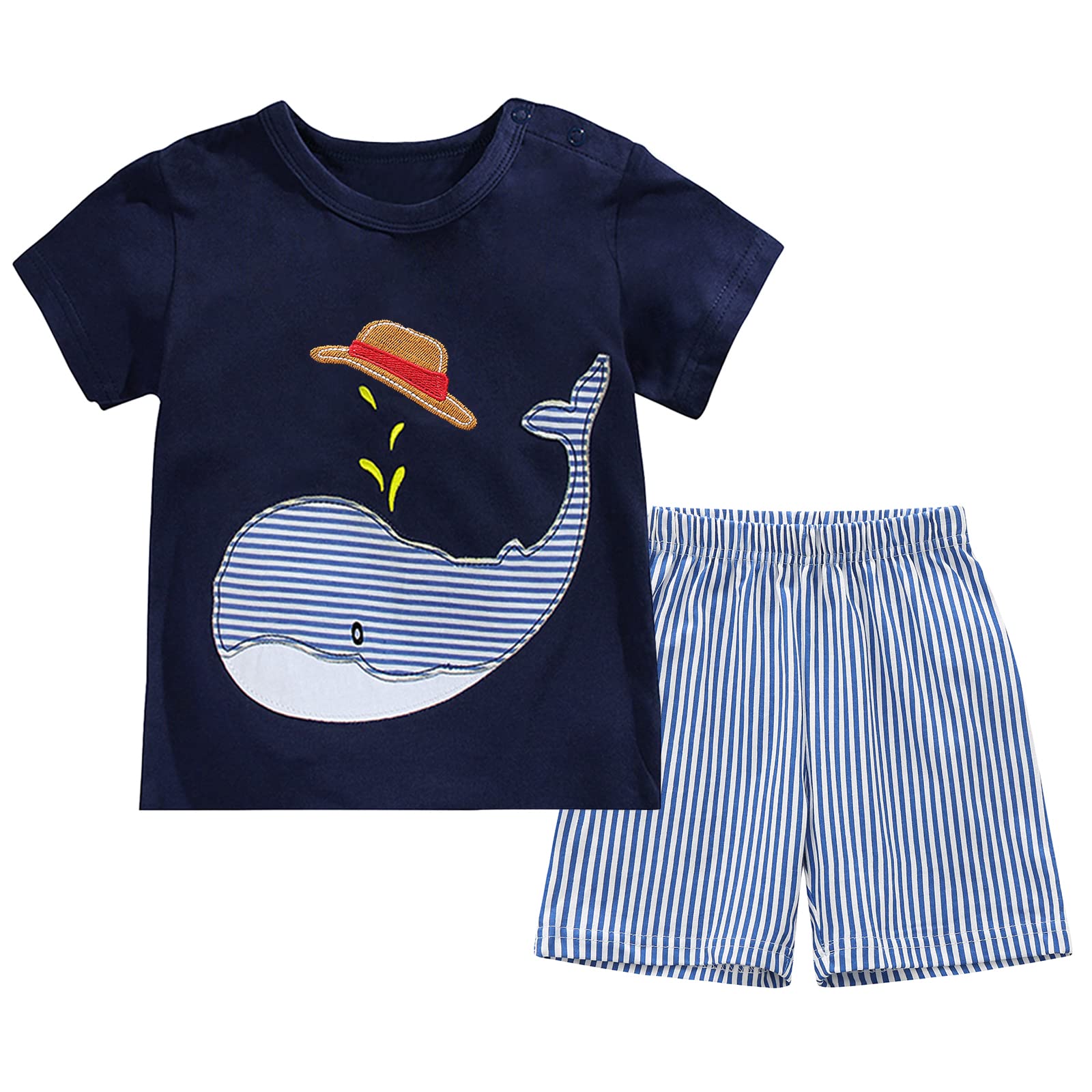 Haydendear Toddler Boys Short Sleeve T-shirts Tee and Shorts Set Summer Clothes 2001QZ(3T)