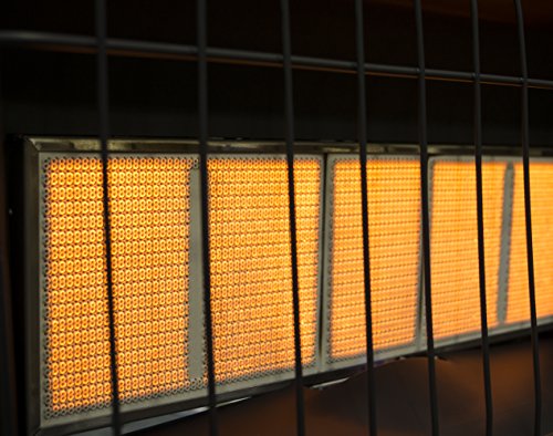 Dyna-Glo IR30NMDG-1 30,000 BTU Natural Gas Infrared Wall Heater