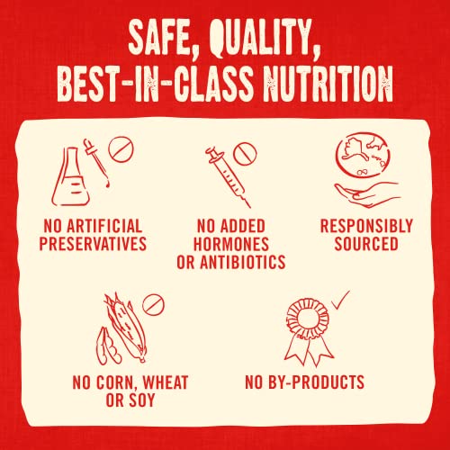 Stella & Chewy’s Freeze-Dried Raw Coated Dog Biscuits – Cage-Free Chicken Recipe – Protein Rich, Grain Free Dog & Puppy Treat – Great Snack for Training & Rewarding – 9 oz Bag