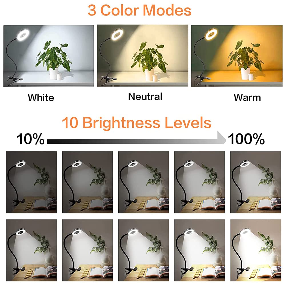 Brokimis Clip on Light LED Reading Book Study Lamp 3 Color Modes 10 Brightness Eye Protection 360° Flexible Gooseneck Student Dormitory Office Desk Lamp at Night in Bed