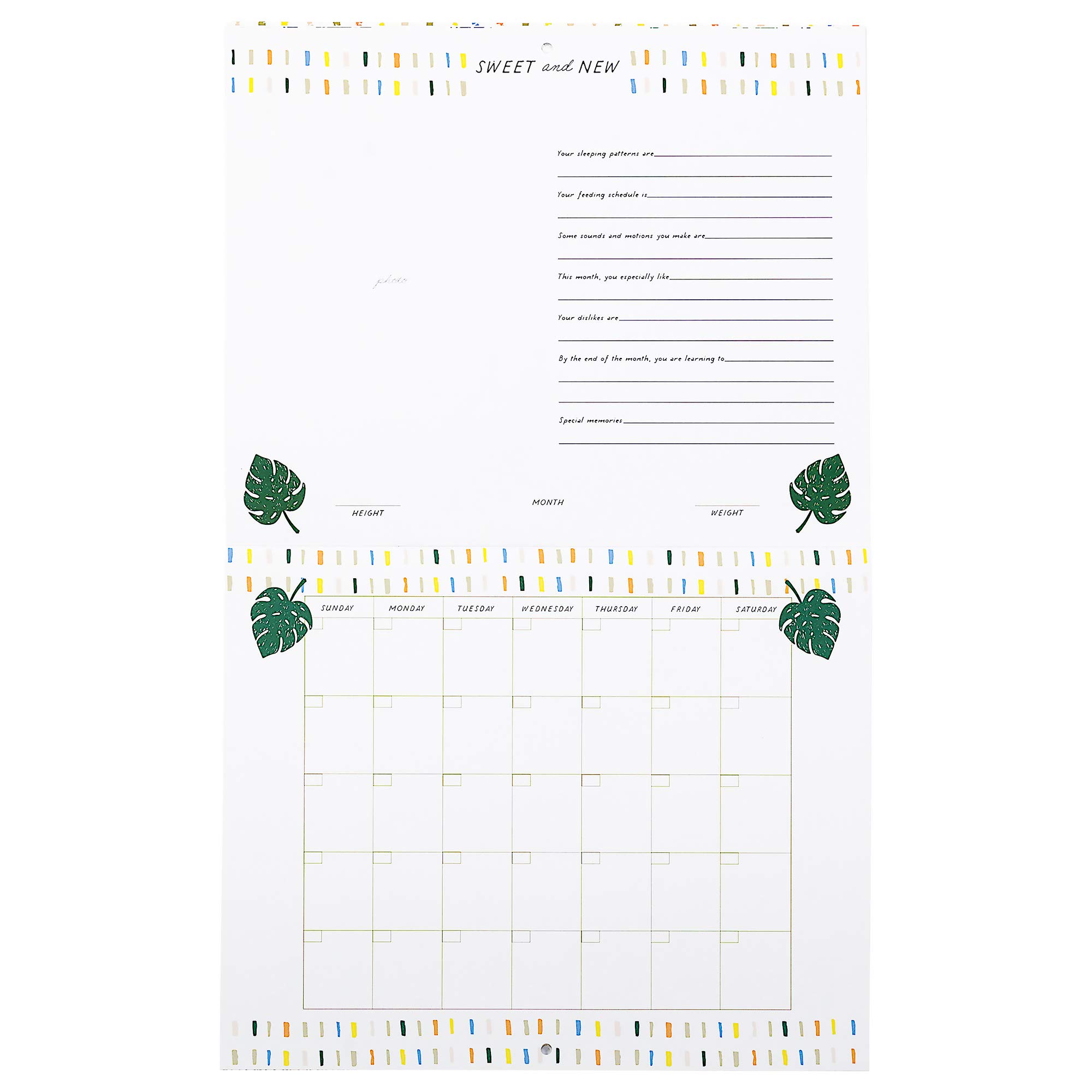 C.R. Gibson BA3-22583 Cute Elephants ''Wild About You'' Gender Neutral First Year Baby Calendar, 11'' W x 18'' H