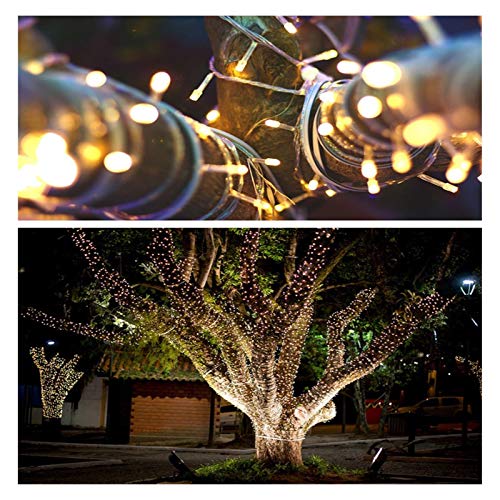 LIUPENGWEI String Lights, 100 LED Fairy Lights Waterproof, 10m Silvery Copper Wire Rope Lights, 24V DC, Christmas Decoration for Home Garden Lawn Wedding Holiday Indoor Party Garden Ghost Light