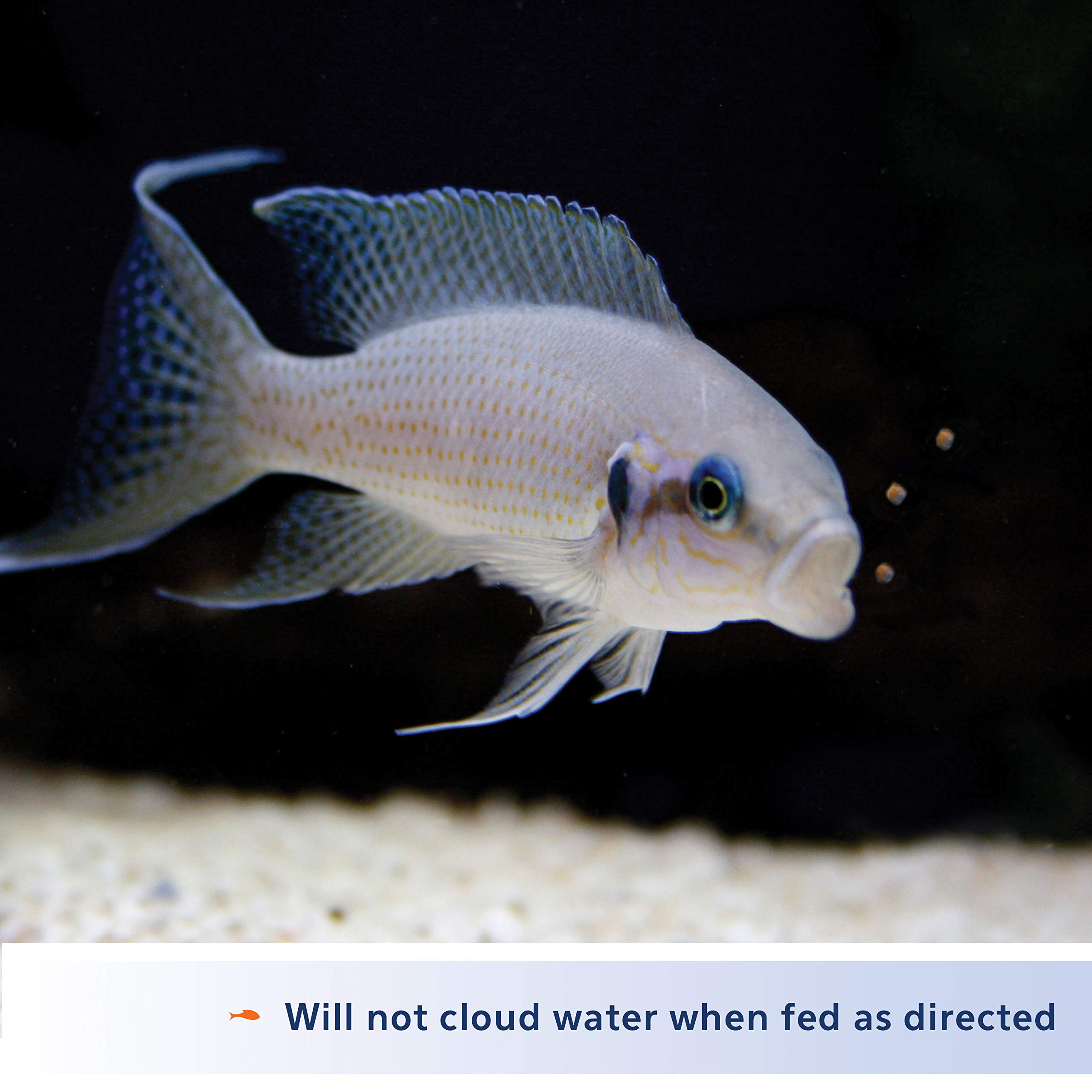 Aqueon Cichlid Food Mini 8.5 Ounces