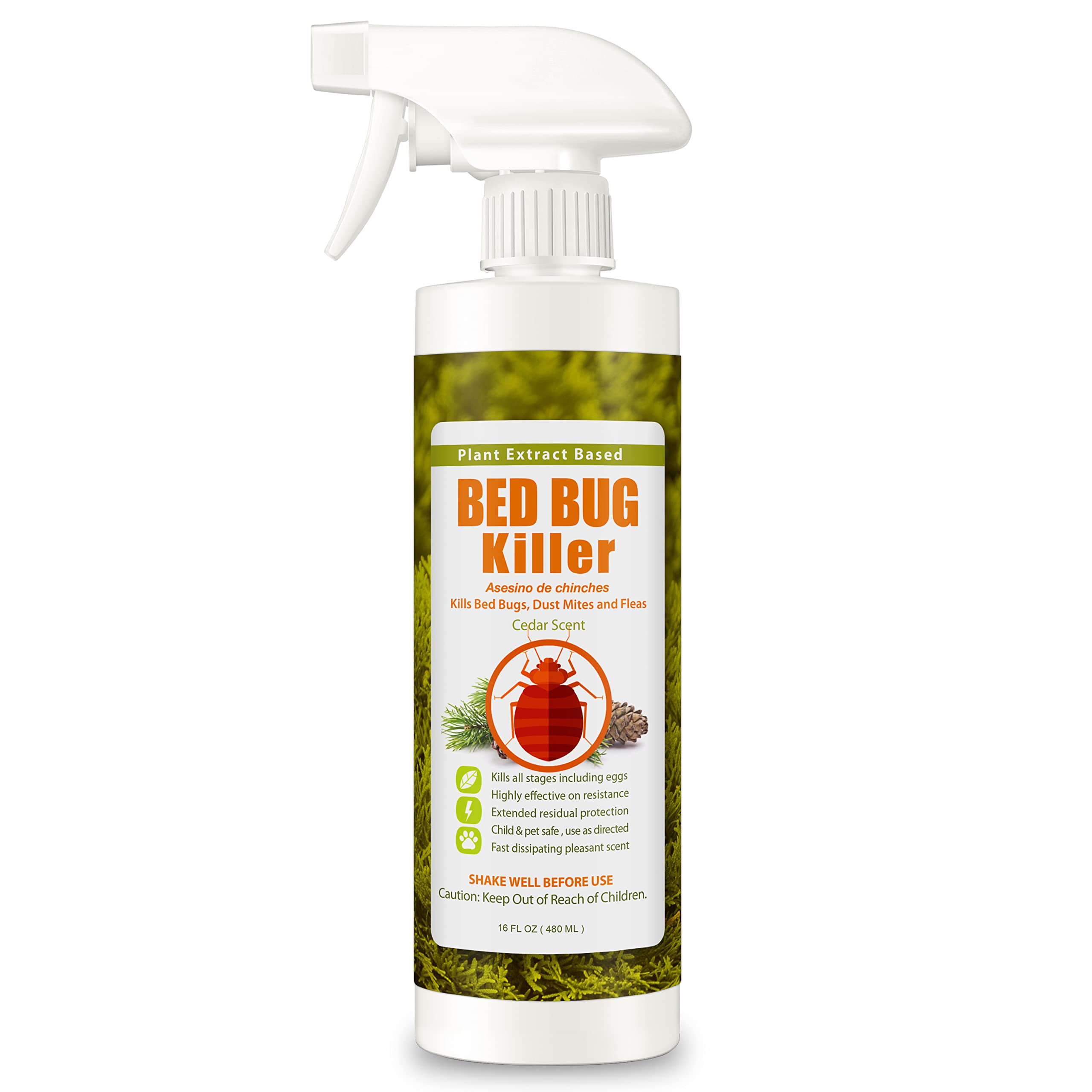 EcoRaider Bed Bug Killer Spray 16 Oz, Green + Non-toxic, 100% Kill + Extended Protection