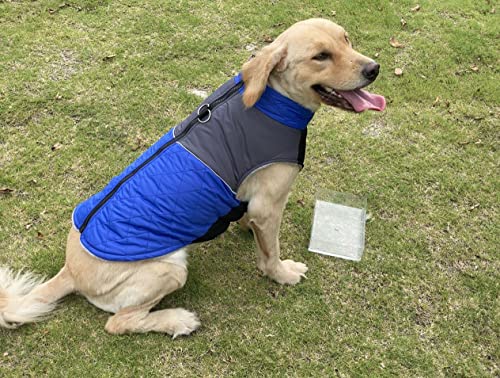 Fleece Lining Warm Dog Coats Padded Vest with D Ring Waterproof Reflective Puppy Jacket for Small Medium Large Dog Winter Coat Clothes Zip Up Apparel for Cold Weather (XL, Blue)