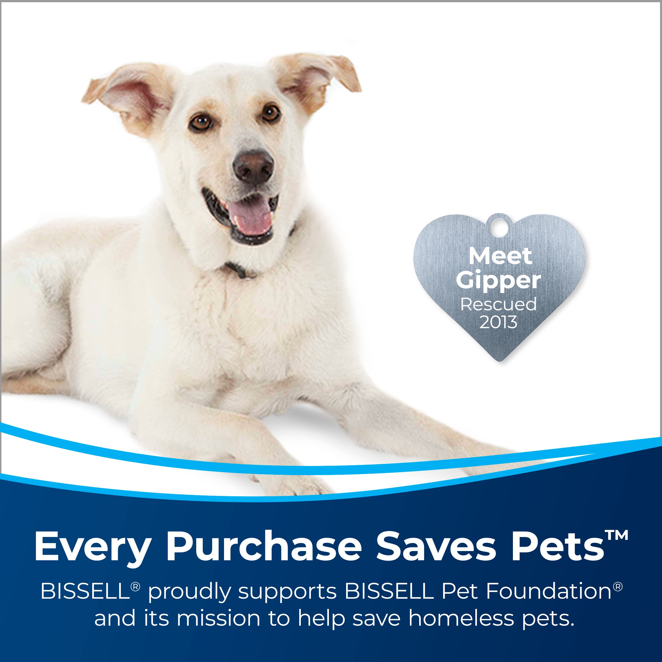 Bissell® PRO OXY Deep Clean Formula, 48 oz. (3156) Oxy Boost Carpet Cleaning Formula Enhancer