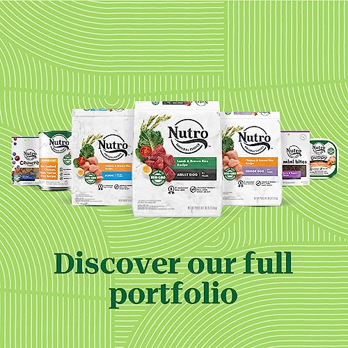NUTRO NATURAL CHOICE Senior Dry Dog Food, Chicken & Brown Rice Recipe Dog Kibble, 30 lb. Bag