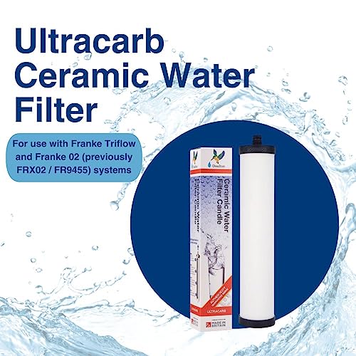 Doulton W9223021 UltraCarb Ceramic Water Filter Candle, White, Pack of 1