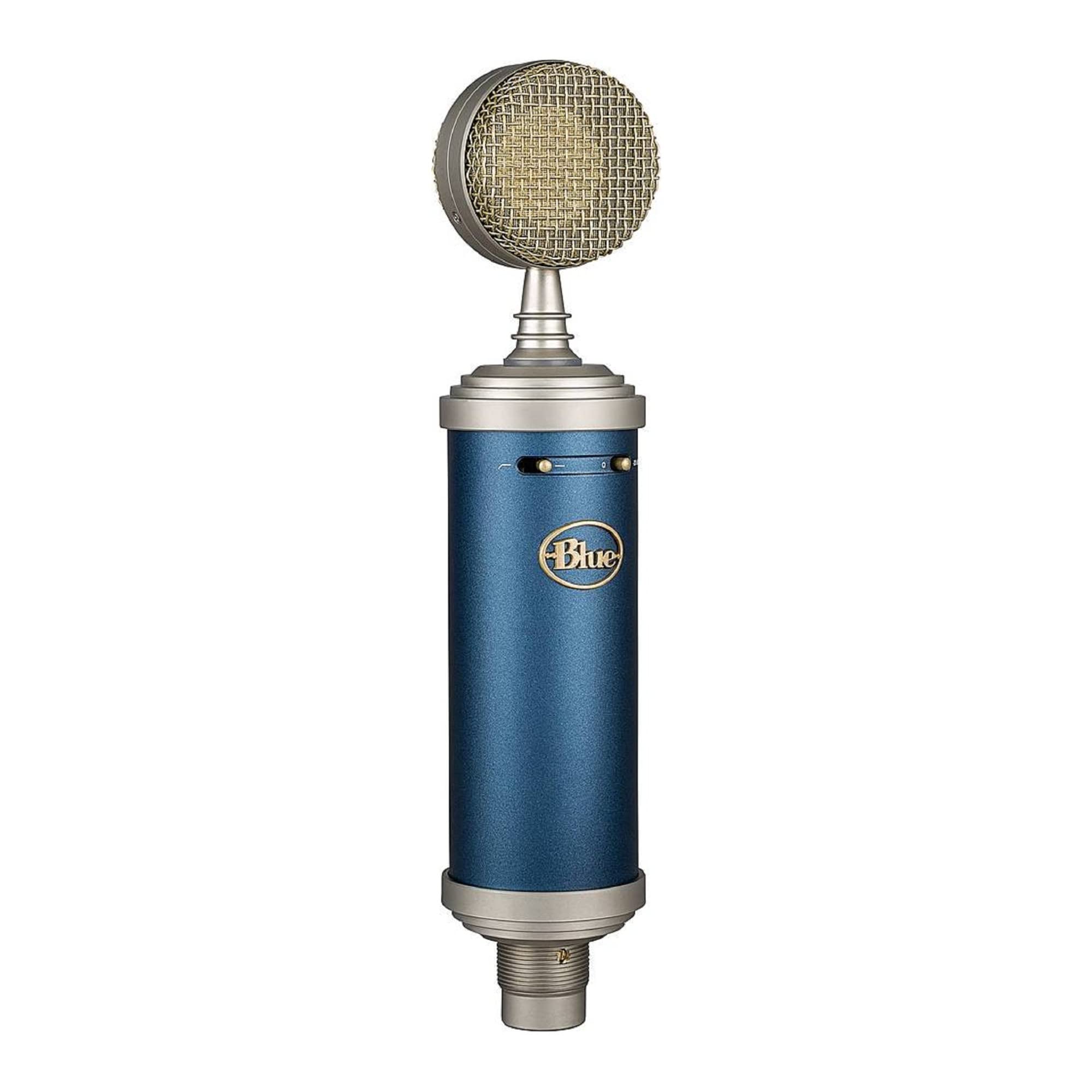 Blue Microphones Bluebird SL Large-Diaphragm Cardioid Condenser Microphone Bundle with Microphone Stand (Black), 25-Feet XLR Microphone Cable, and Pop Filter for Microphones (4 Items)