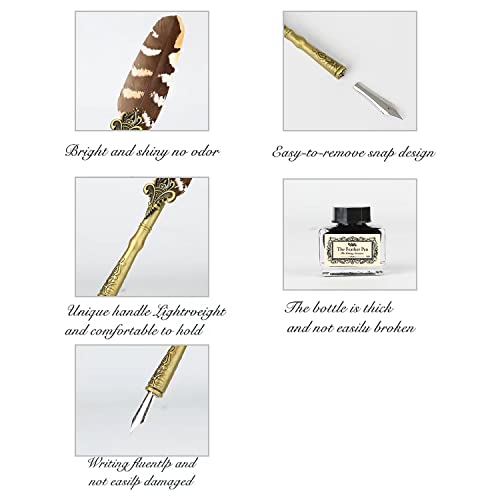 hhhouu Feather Pen and Ink Set, Quill Pen Set Antique Dip Pen with Ink and 6 Replacement Nibs 6pcs Nibs Calligraphy Pens for Beginners HO-Q-300