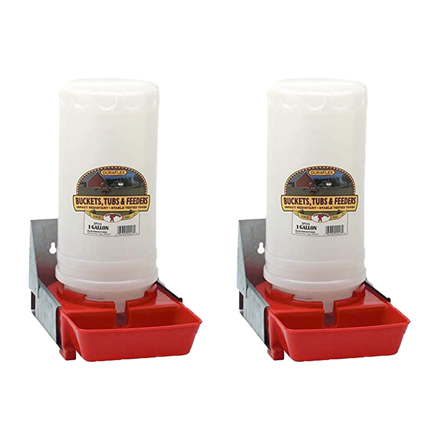 Little Giant BPW4 1-Gallon Impact Resistant Translucent Polyethylene Piglet Waterer (2 Pack)