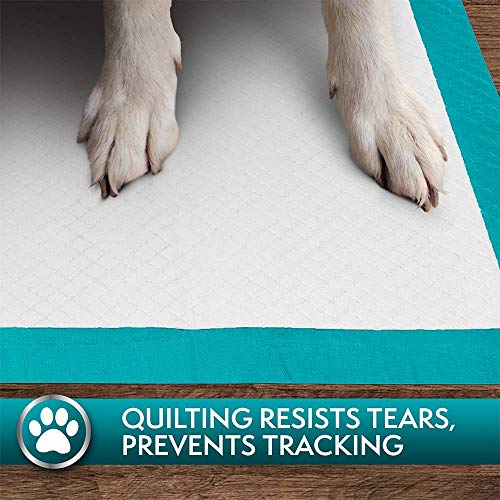 Simple Solution Training Puppy Pads - 6 Layer Dog Pee Pads, Absorbs Up to 6 Cups of Liquid - 23x24in - 100 Count