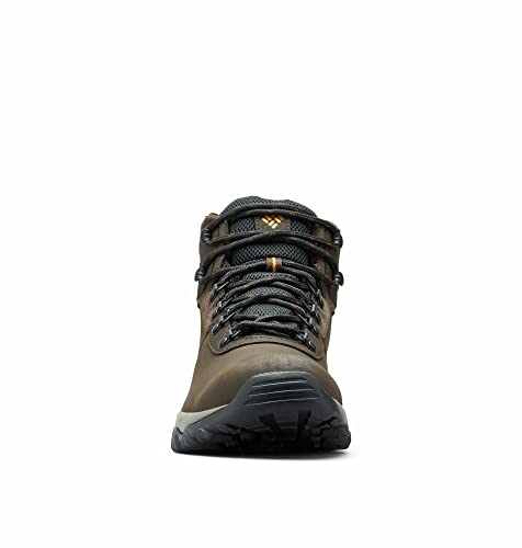 Columbia mens Newton Ridge Plus Ii Waterproof Hiking Boot, Cordovan/Squash, 8.5 US