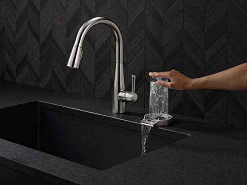 Delta Faucet Glass Rinser for Kitchen Sinks, Kitchen Sink Accessories, Bar Glass Rinser, SpotShield Stainless GR150-SP