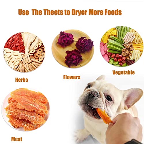 OUOSY 7Pcs Reusable Dehydrator Sheets For Dehydrator, Round Silicone Dehydrator Mats For Fruit, 13 inch Premium Non Stick Food Dryer Mesh Sheet (7 Pack, 13 x 13ββ), 13 x 13 In, White