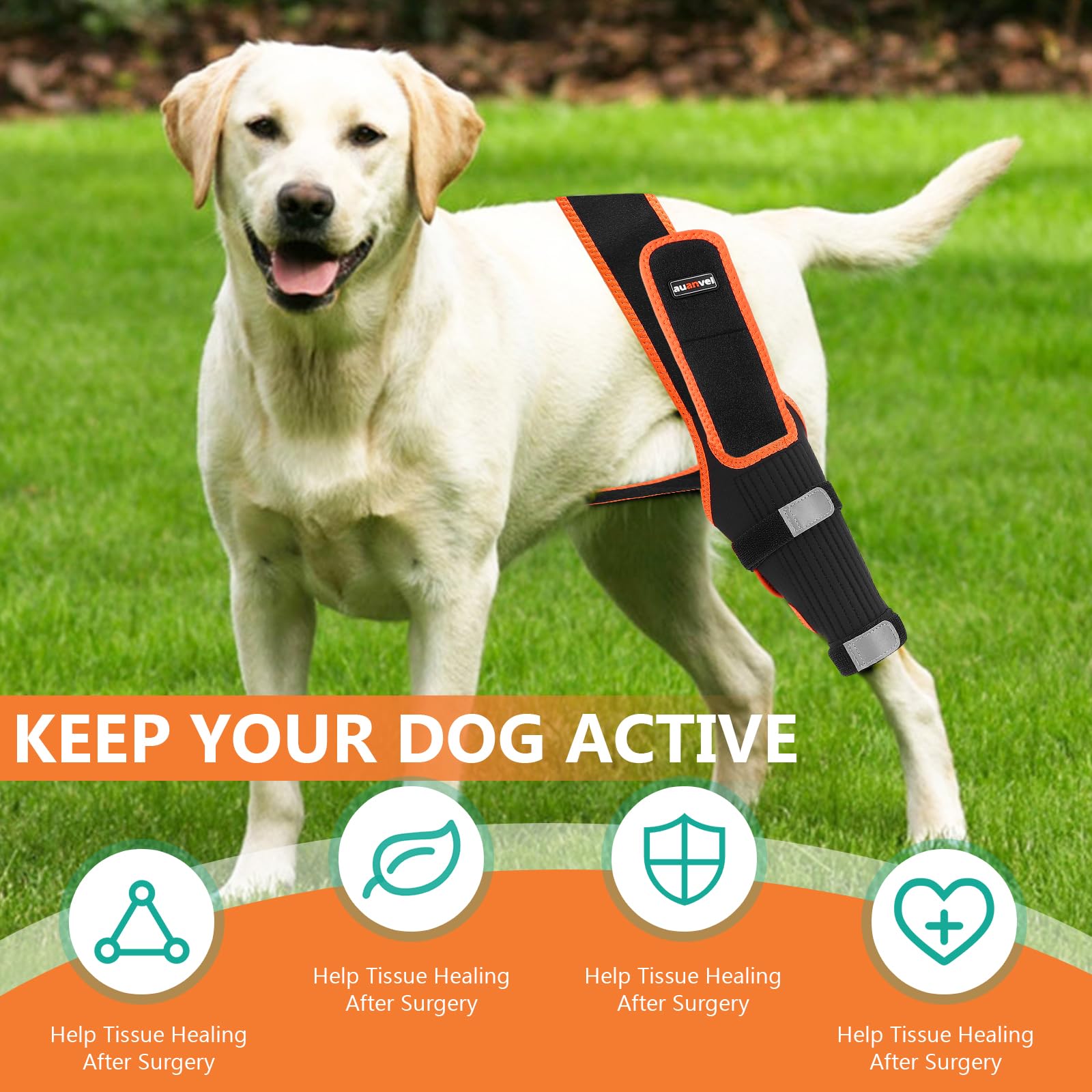 Dog Knee Brace Leg Braces with Side Stabilizers for Dogs Support for Torn ACL CCL Hind Leg, Knee Cap Dislocation, Cruciate Ligament Injuries, Patella Dislocation or Osteoarthritis (L)