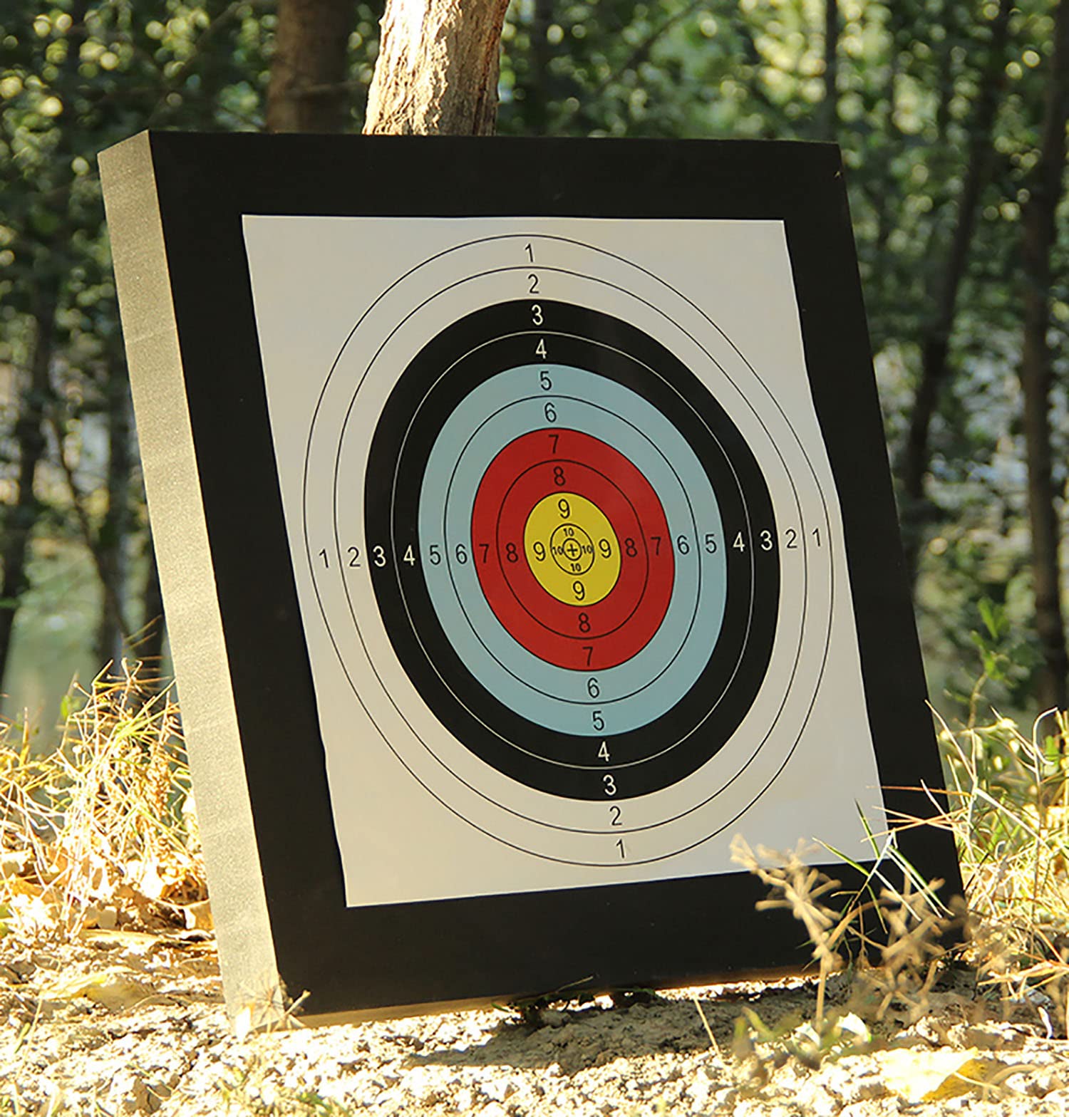 Archery Targets Paper for Backyard,Bow Arrow Targets for Hunting & Archery Targets,Target Practice Accessories(30pcs Standard Archery 16x16 in,10 Rings)