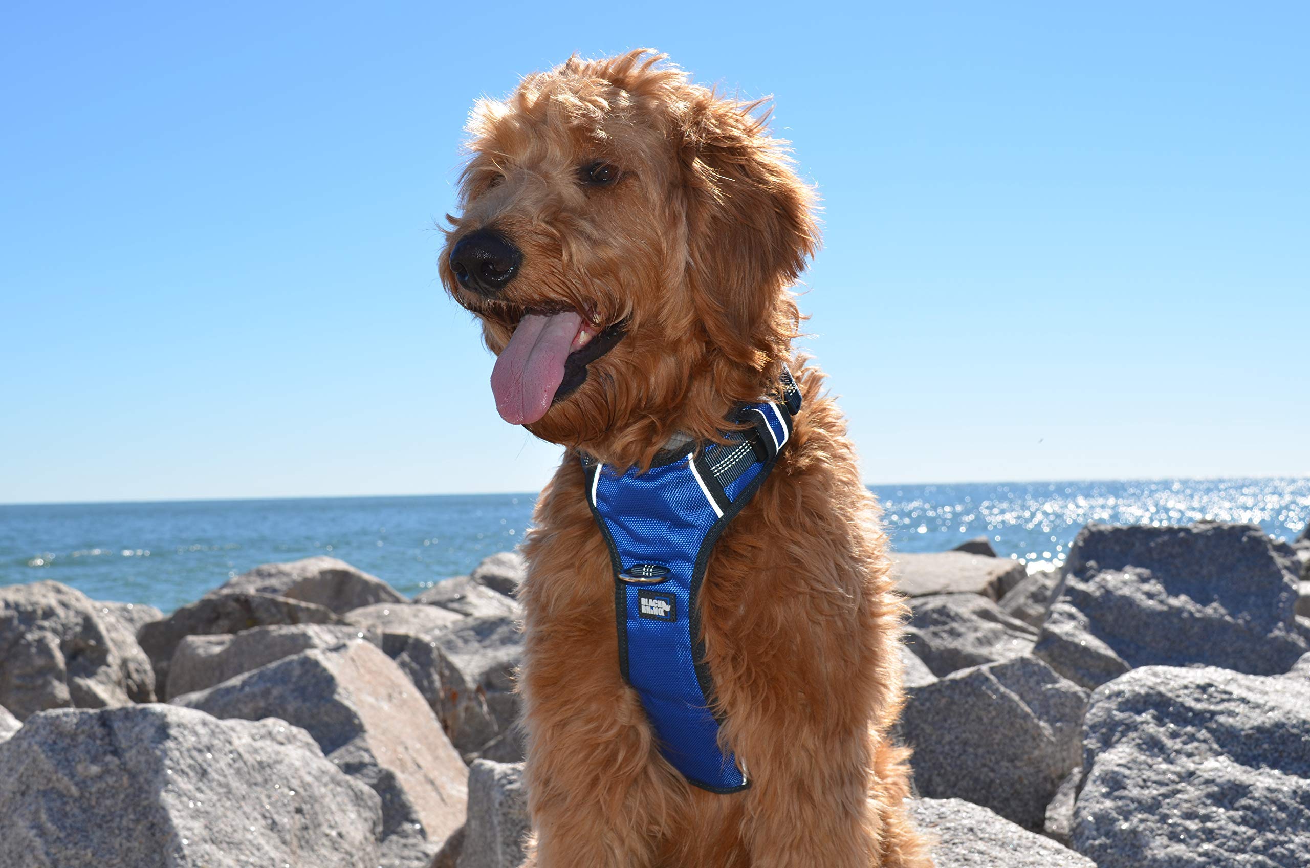 Black Rhino - The Comfort Dog Harness with Mesh Padded Vest for Small - Large Breeds | Adjustable | Reflective | 2 Leash Attachments on Chest & Back - Neoprene Padded Training Handle (Large, Aqua/Gr)