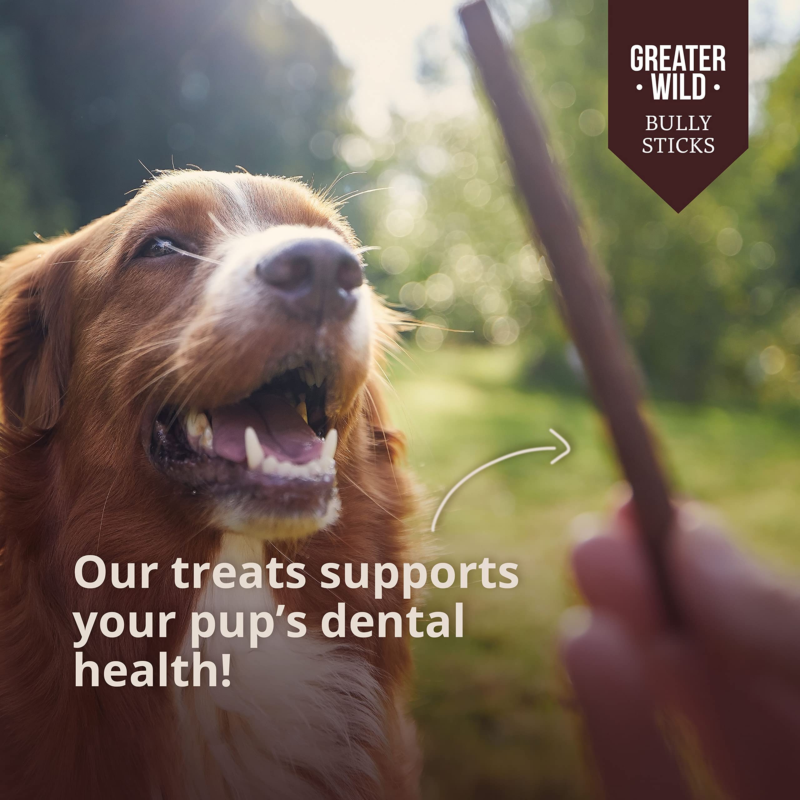 GREATER WILD Beef Bully Sticks Dog Treats, 5 6" Sticks - Single Ingredient, All Natural, Long Lasting Dog Chews for Large and Small Dogs - 100% Digestible
