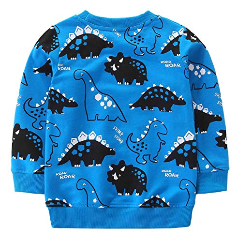 BTGIXSF Little Boys Cotton Crewneck Cartoon Long Sleeve Pullover Sweatshirt 167 4T