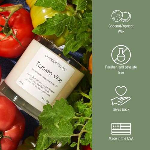 Outdoor Fellow Tomato Vine Luxury Scented Candle, 40+ Hour Burn Time, Coconut & Apricot Wax Blend, Best Smelling Luxury Tomato Candle for Home, (8oz)