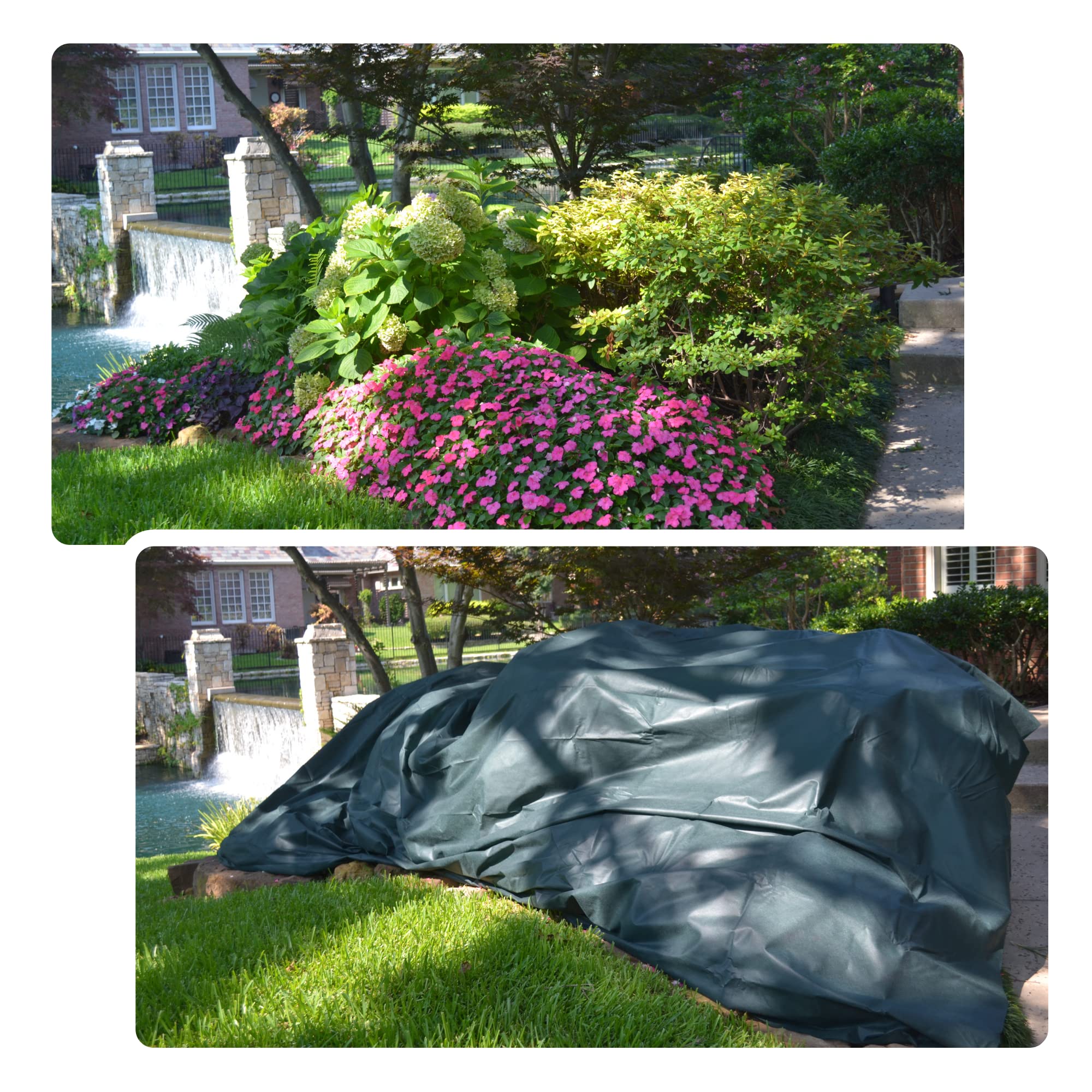 the Planket 11200 10 x 20 ft Frost Protection Plant Cover, Rectangular, Dark green