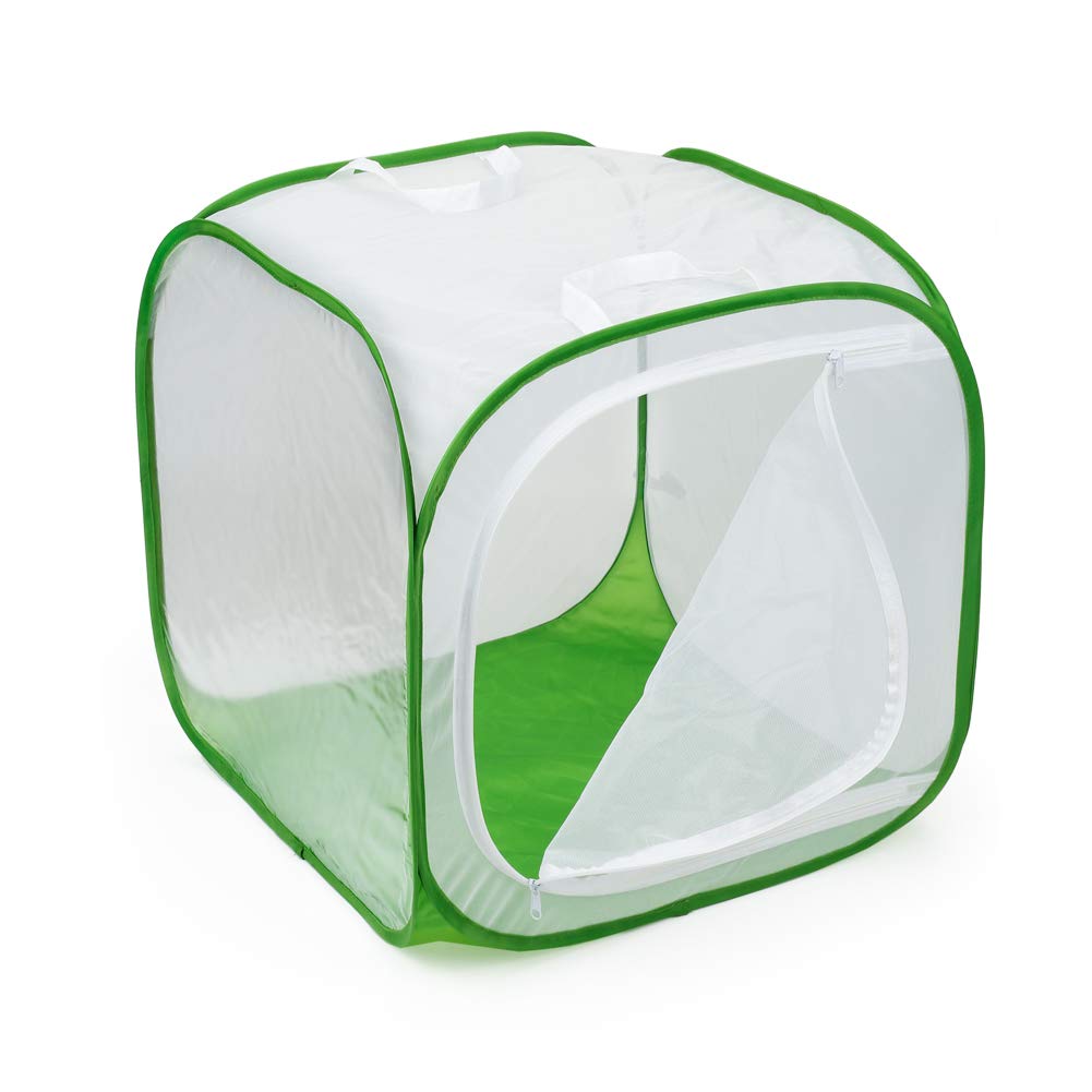 Big Cube Insect and Butterfly Habitat Cage Terrarium Pop-up 20 X 20 X 20 Inches