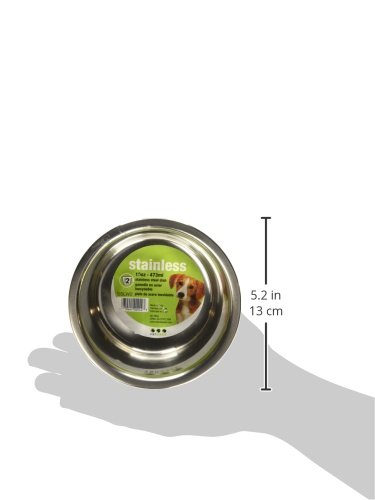 Van Ness Pets Small Lightweight Stainless Steel Dog Bowl, 16 OZ Food And Water Dish, Natural