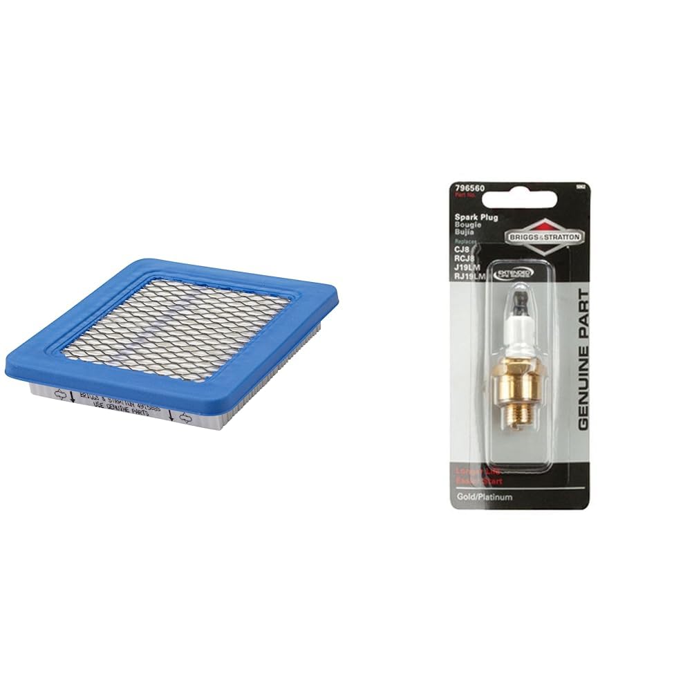 Briggs & Stratton 491588S Flat Air Filter Cartridge & 5062K Spark Plug Platinum